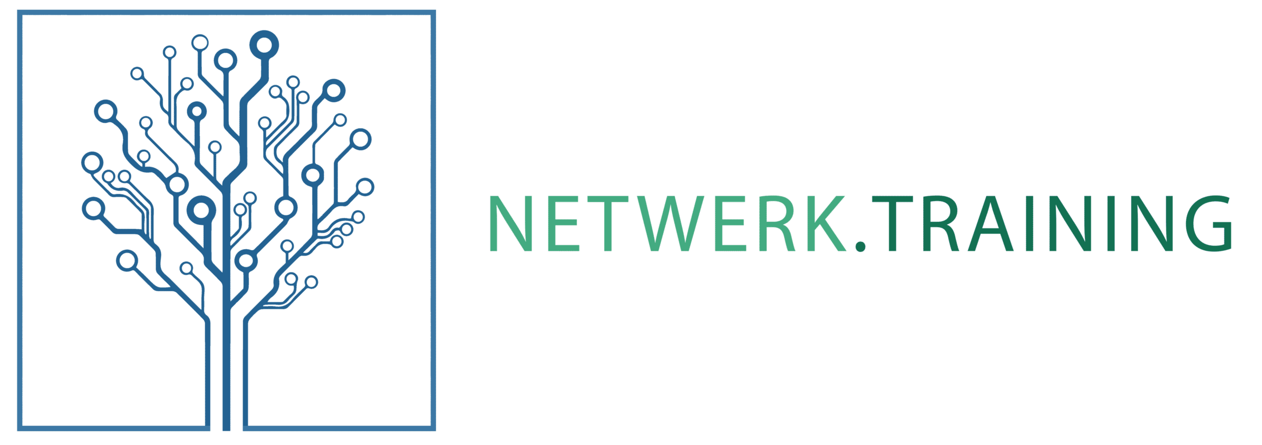 Basistraining Netwerken - Netwerk Training